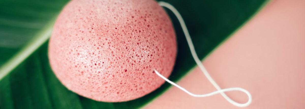 Konjac svamp – Hvilken skal du vælge? – Helsam – Helsam.dk